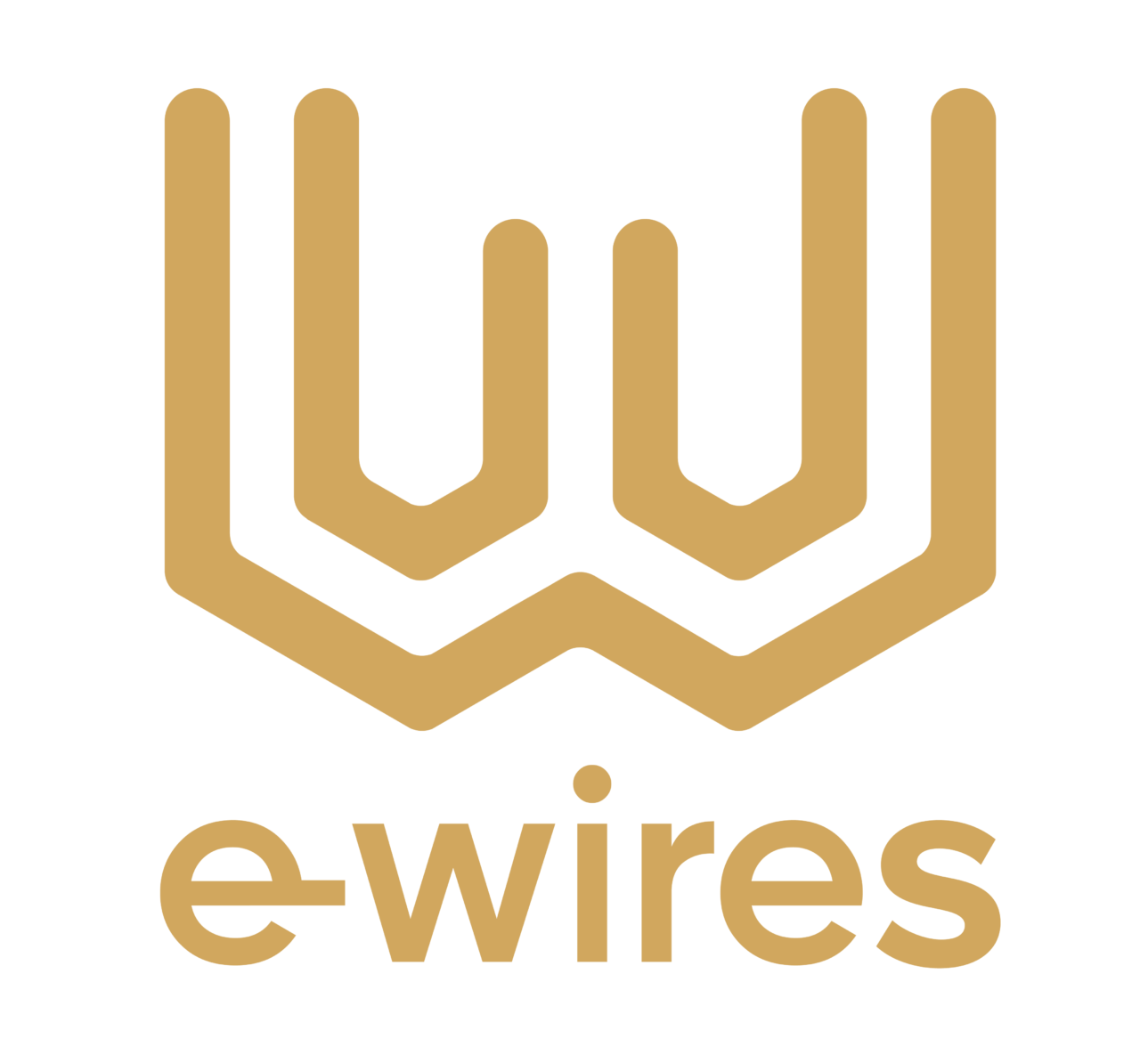 e-wires | Payments solution beyond experts